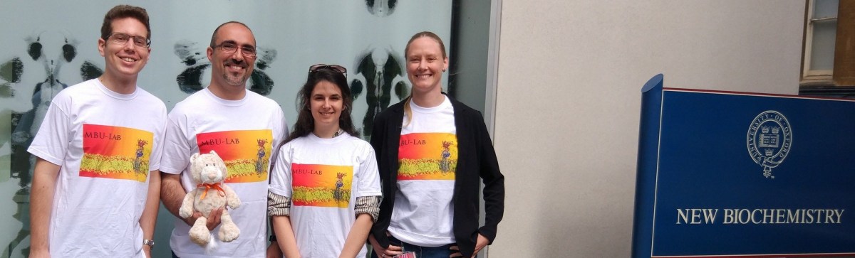 People | Bublitz Membrane Protein Research